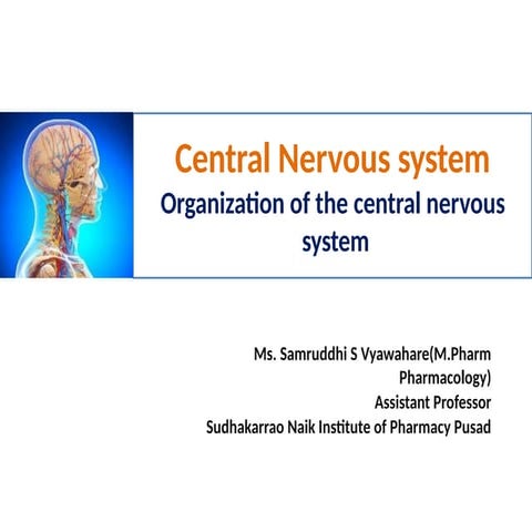 Nervous System Lesson for Grade 6 in Science | PPTX