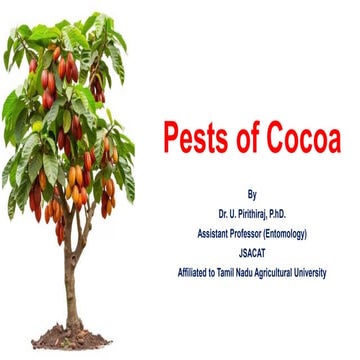Pests of Cocoa_Identification_Dr.UPR.pdf