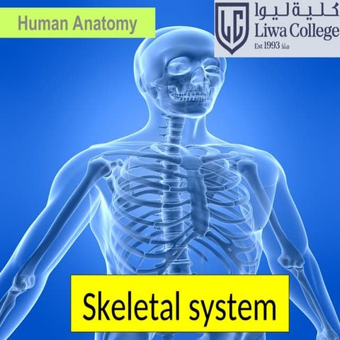 11. Skeletal system anatomy and pgysiology for nursing.ppt