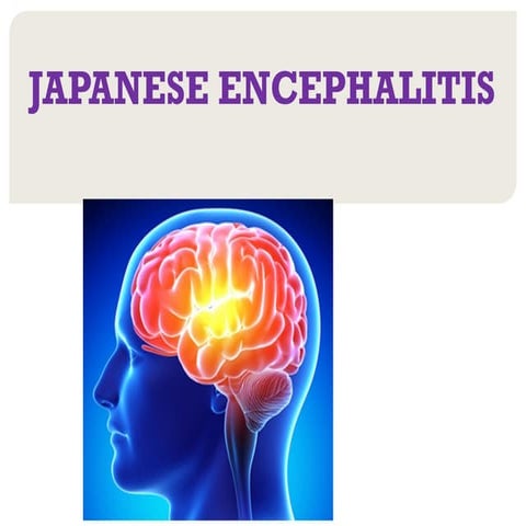 Japanese encephalitis educational presentation | PPT