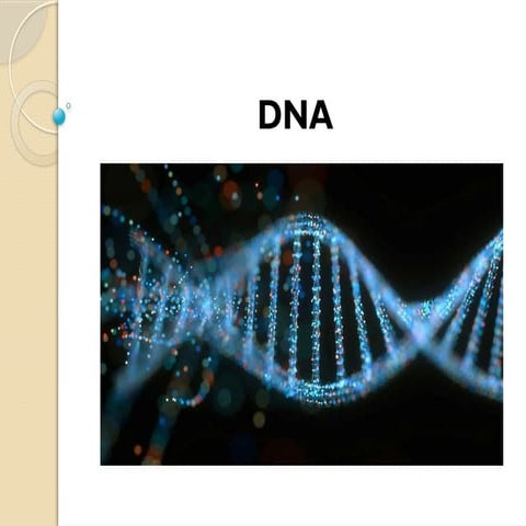 11. DNA.p,importance and functifon ,work | PPT