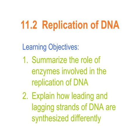 11.2_Replication of DNA.ppt biology ppt science | PPT