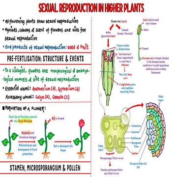 11. Sexual Reproduction in Higher Plants.pdf
