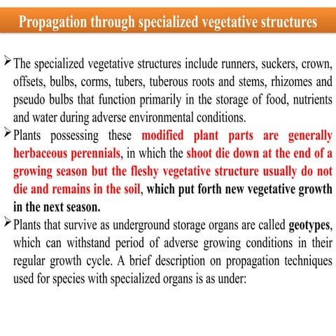 PROPAGATION BY SPECIALIZED VEGETATIVE STRUCTURE.pptx