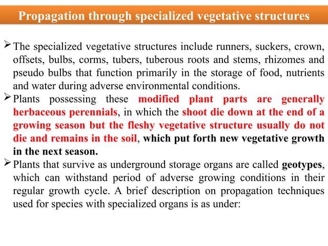 PROPAGATION BY SPECIALIZED VEGETATIVE STRUCTURE.pptx