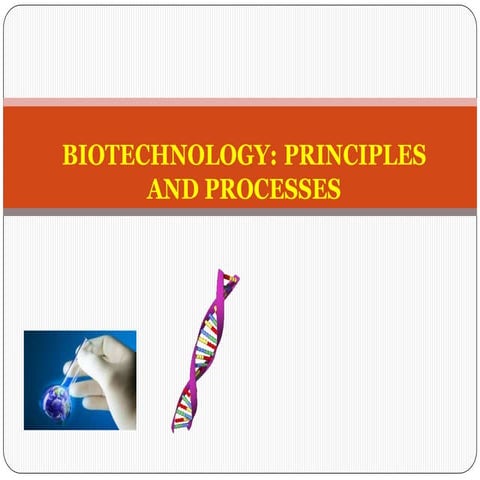 Biotechnology: Principles and Processes Class XII Chapter 11.pptx