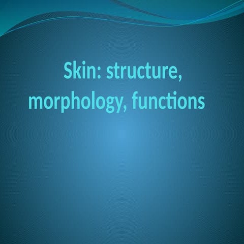 заниятие 1 ФИУ Skin structure, functions morphology.pptx