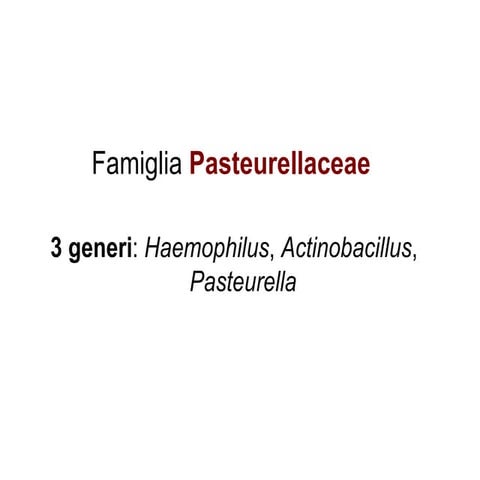 11. haemophilus | PPT