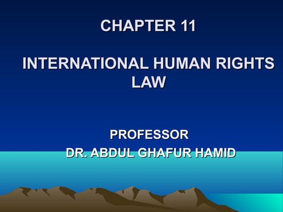 International human rights law | PDF
