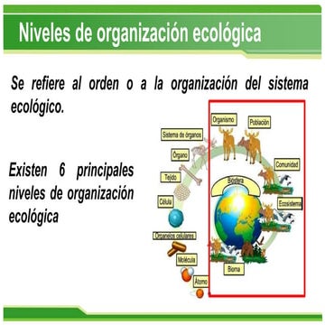 Niveles De Organización De La Ecología