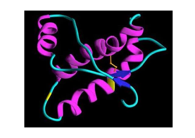 Prions and diseases | PPT