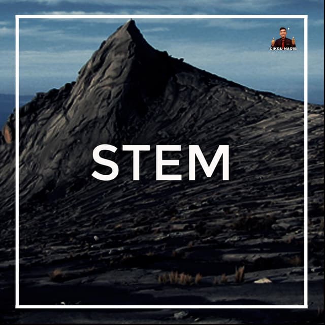 STEM (Science, Technology, Engineering, Math) | PDF