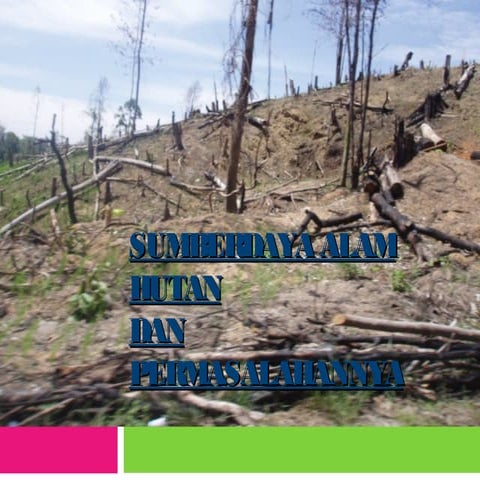 11 sumberdaya-alam-hutan | PPT