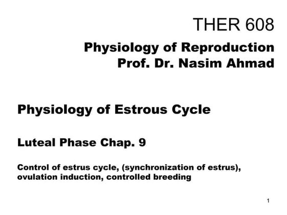 10 ther 608 estrous cycle follicular phase | PPT