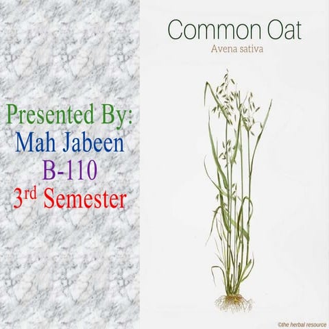 Production Technologies of Oats | PPTX