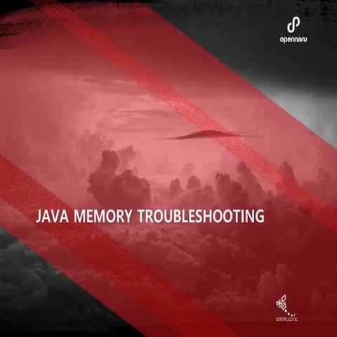 110java Memory Troubleshooting Ppt