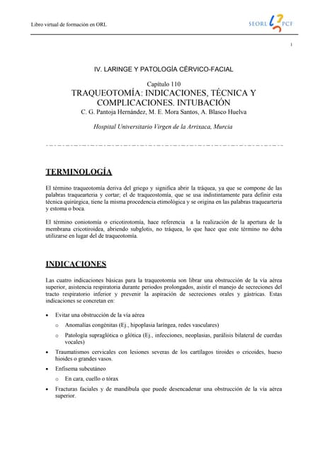 Lineas De Tension De Langer | PDF