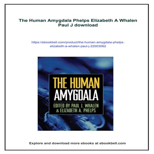 The Human Amygdala Phelps Elizabeth A Whalen Paul J | PDF