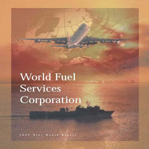 WorldFuel 2002 Transition AnnualReport | PDF