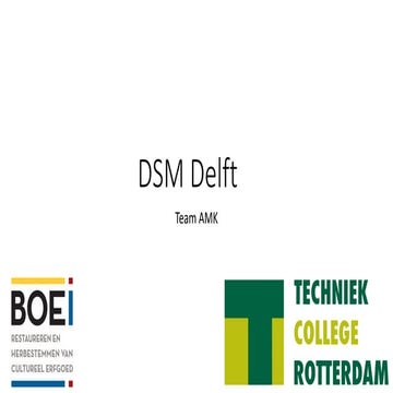 DSM Delft team AMK | PPT