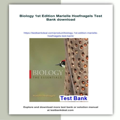 Biology 1st Edition Marielle Hoefnagels Test Bank | PDF