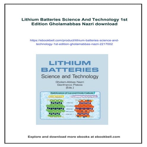 Lithium Batteries Science And Technology 1st Edition Gholamabbas Nazri ...