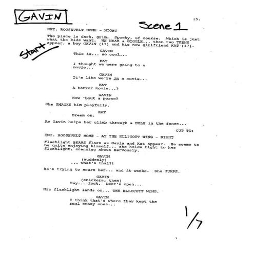 Supernatural 1.10 Asylum Casting Sides for Gavin | PDF