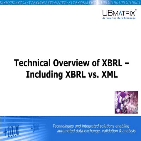 110 Introduction To Xbrl Taxonomies And Instance Documents Sept 2007 Print Version | PPT