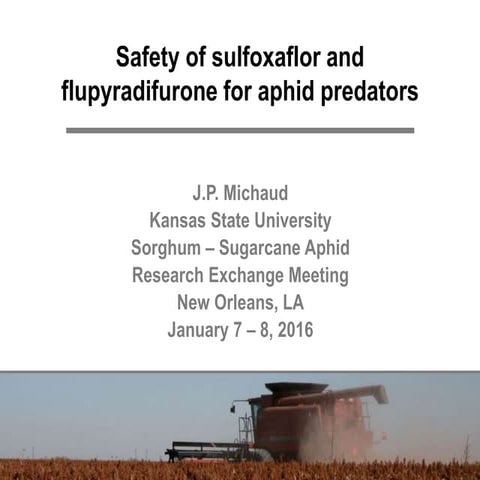 Safety of sulfoxaflor and flupyradifurone for aphid predators | PPT