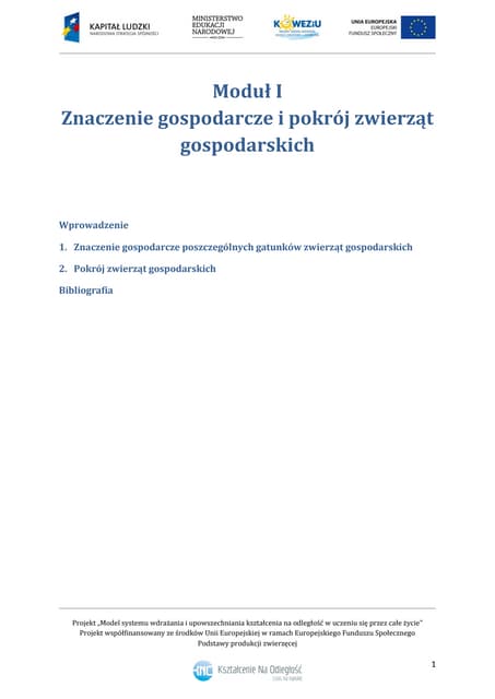 Prezentacja o kotach | PPT