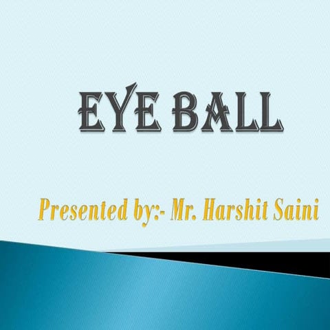 anatomy of eyeball assignment presentation | PPT