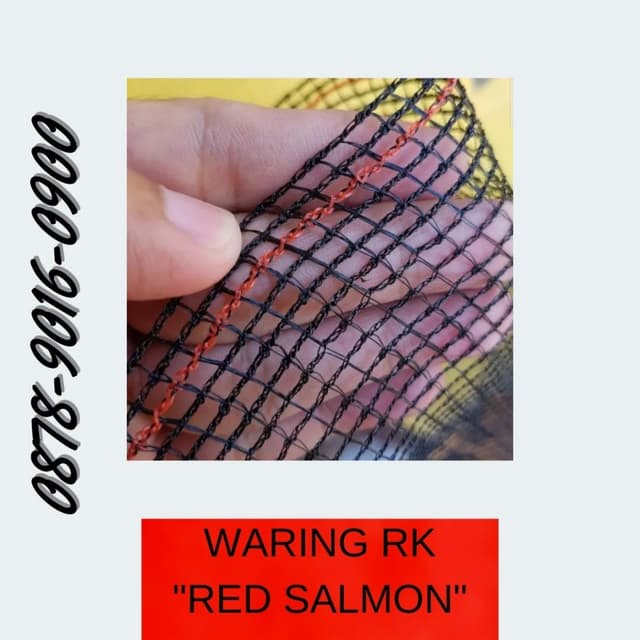 Waring Red Salmon | PDF