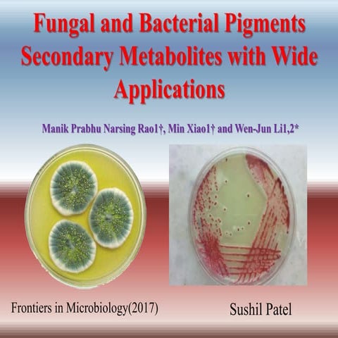 Wide spectrum applications of Bacterial and Fungal pigments | PPTX