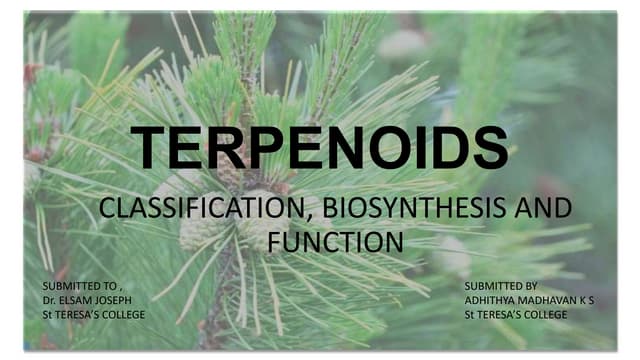 Terpenoids | PPTX