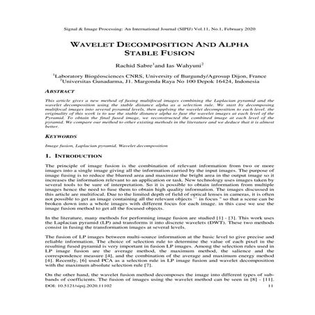 WAVELET DECOMPOSITION AND ALPHA STABLE FUSION | PDF