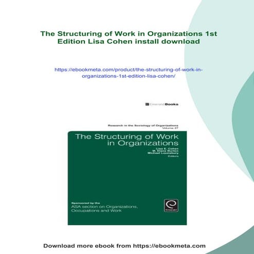 The Structuring of Work in Organizations 1st Edition Lisa Cohen | PDF