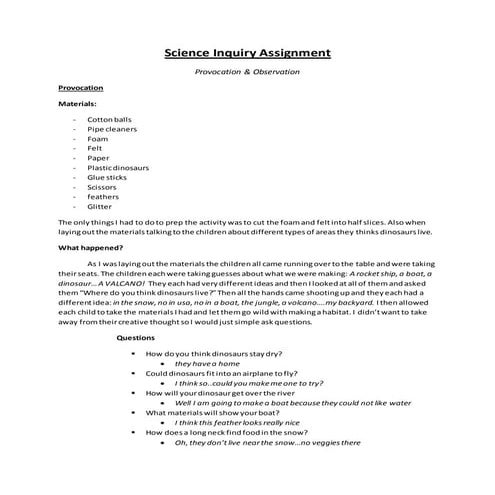 Science Inquiry Assignment | DOCX | Physics | Science