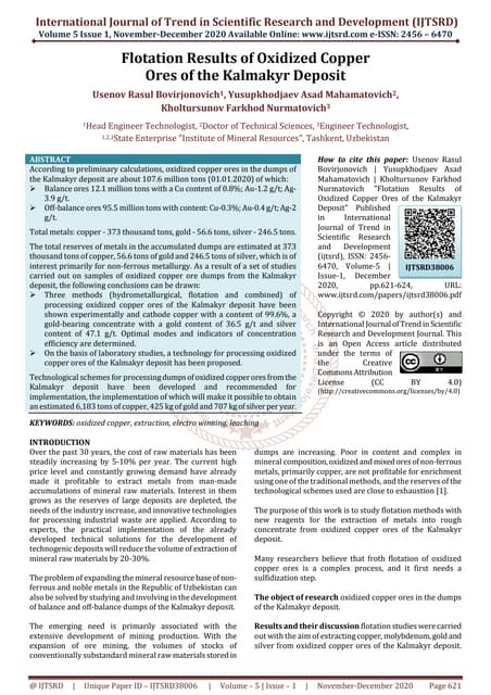Froth Flotation_1 | PPTX | Chemistry | Science