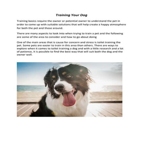 Basic Obedience Training for Dog | PDF