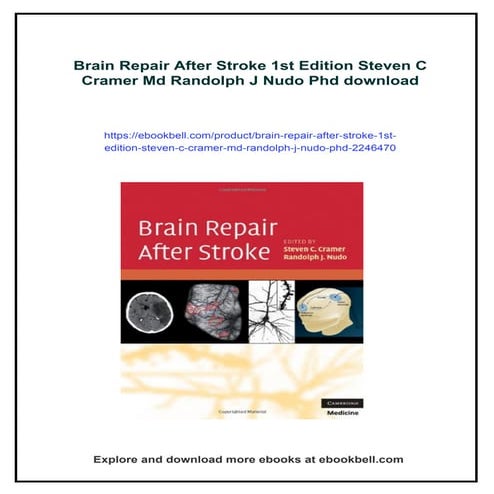 Brain Repair After Stroke 1st Edition Steven C Cramer Md Randolph J ...
