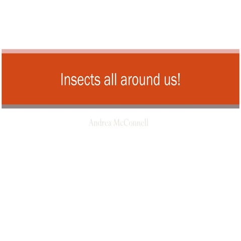 insects | PPT