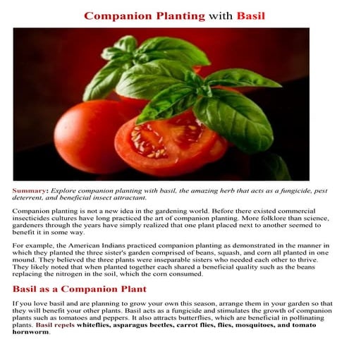 Companion Planting with Basil | PDF