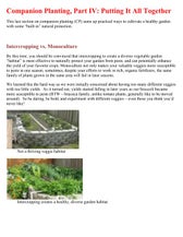 Companion Planting, Part I: Know Your Plant Families - the Dirt | PDF