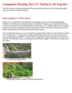Companion Planting, Part I: Know Your Plant Families - the Dirt | PDF