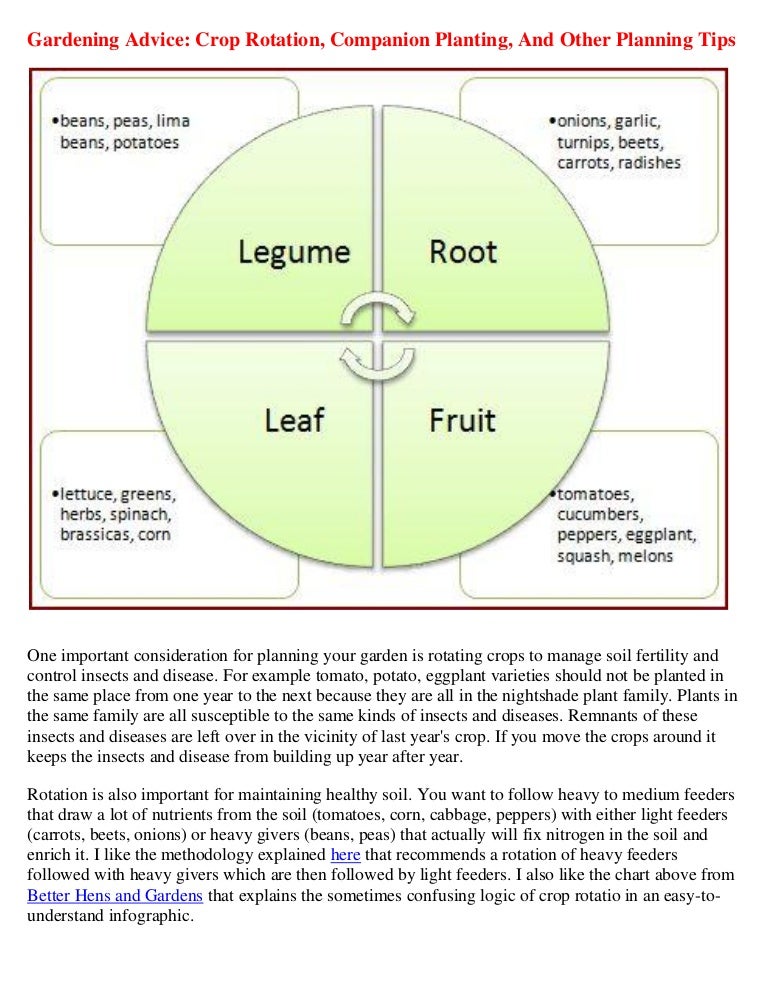 3 Year Crop Rotation Plan