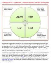 Companion Planting, Part I: Know Your Plant Families - the Dirt | PDF