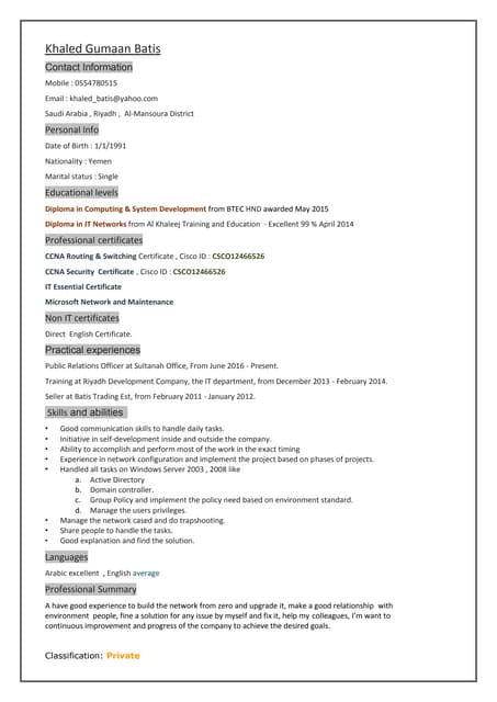 Curriculum vitaecpei | DOCX | Technology & Computing