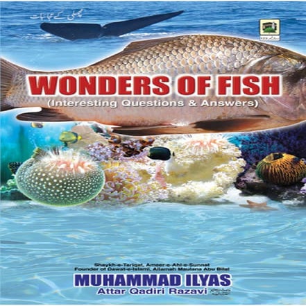 Wonders of Fish | PDF