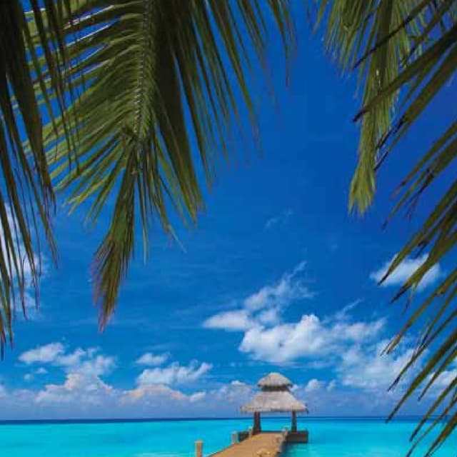 115492 Cluster Brochure (2) | PDF