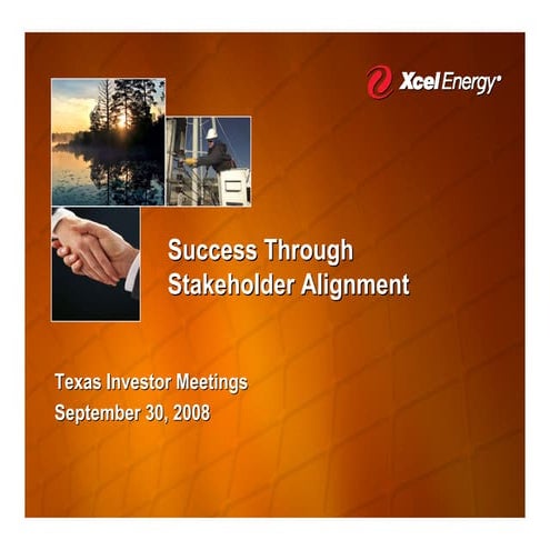 xcel energy 09/30/08_Texas | PDF